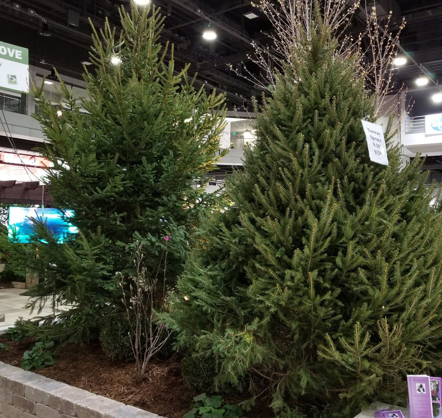 Tree Farm – Whitetail Acres – Whitetail Acres Nursery, Landscaping ...